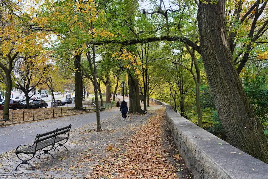 Le 10 strade più belle di New York da vedere: quali sono